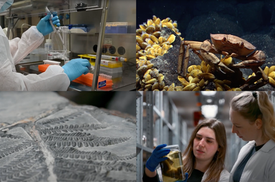 Start page - NFDI4Biodiversity